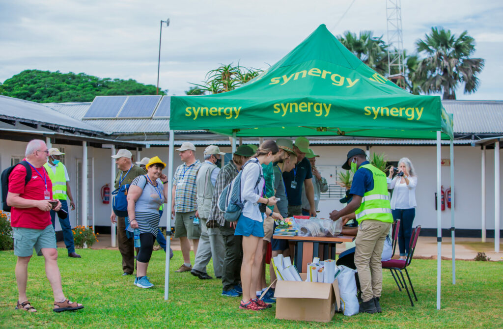 Maize Hybrids – Synergy Seeds Zambia