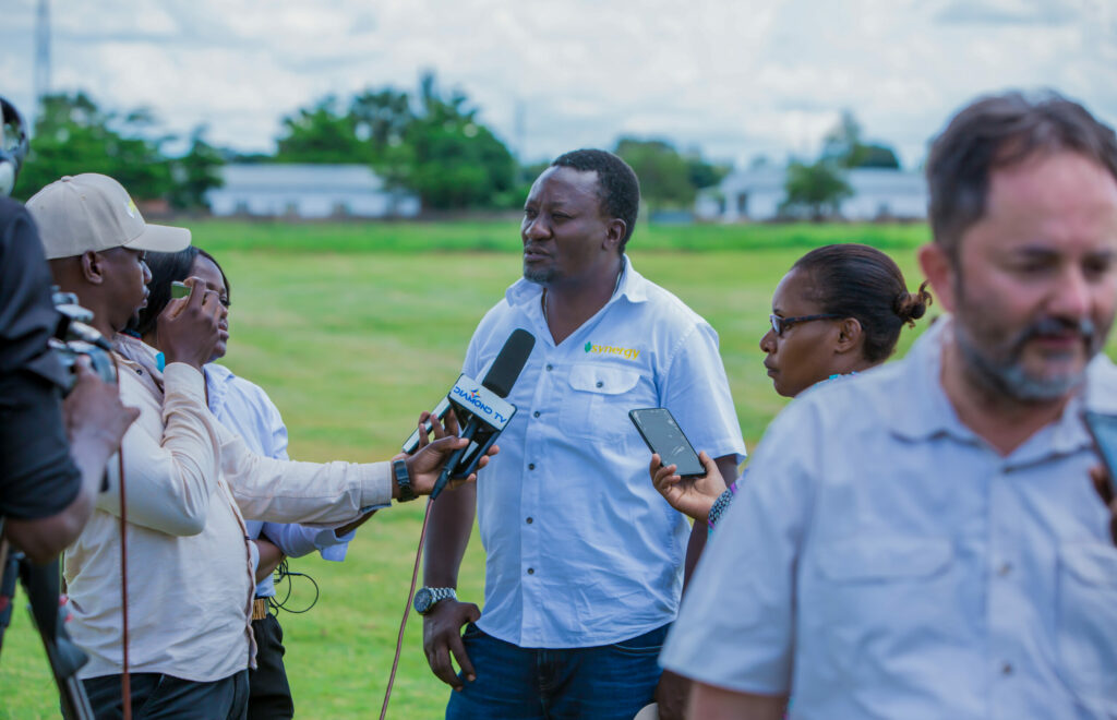 Maize Hybrids – Synergy Seeds Zambia